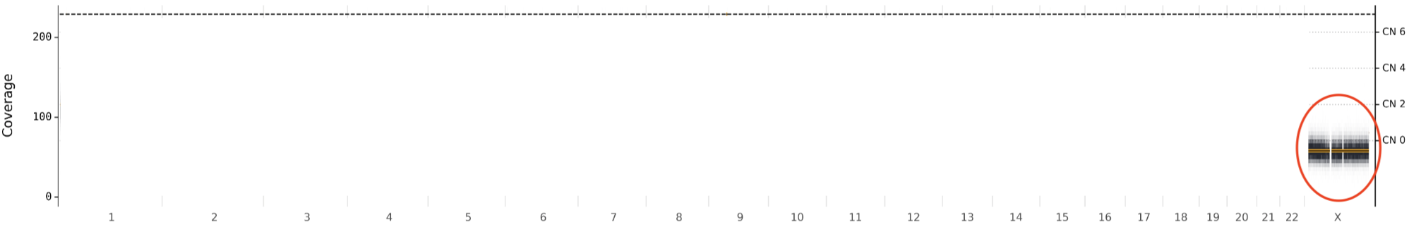 Visualisations Cancer Dss Help 2399